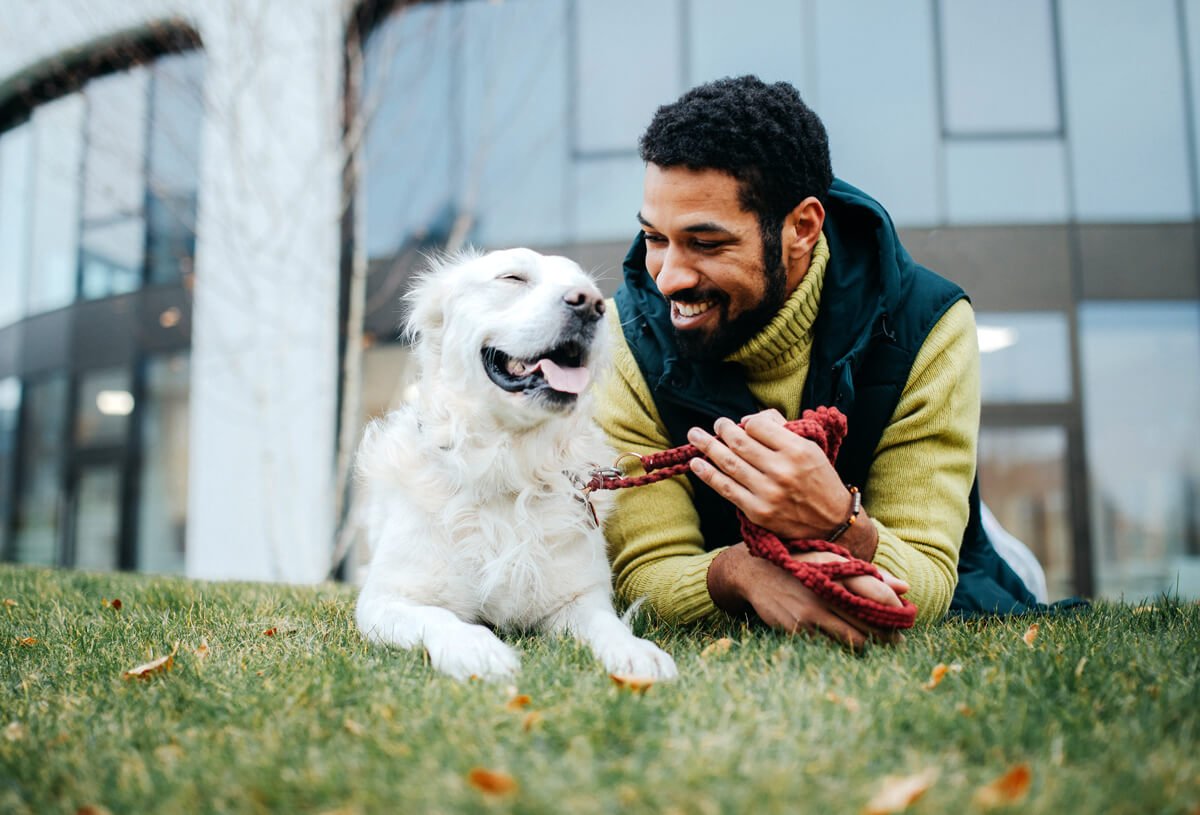 3 Pillars of Good Health for Dogs – Bow Wow Labs