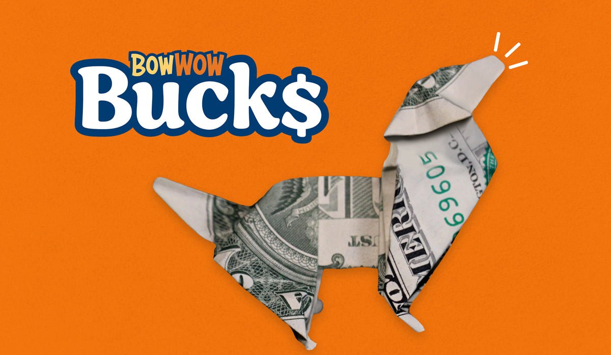 Bow Wow Bucks: Earning Rewards for Your Dog – Bow Wow Labs