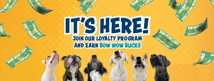 Bow Wow Bucks 101 – Bow Wow Labs