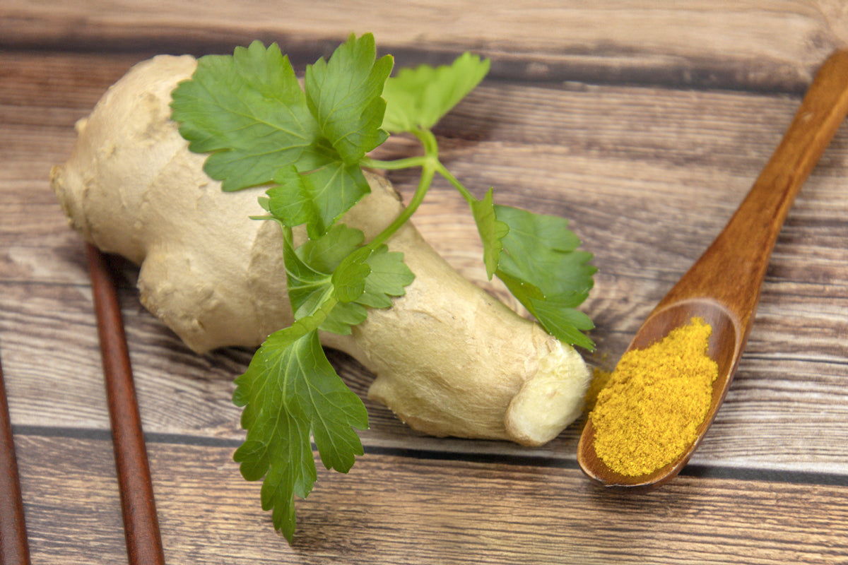 Spices Safe for Dogs: What Seasonings Can Dogs Have? – Bow Wow Labs