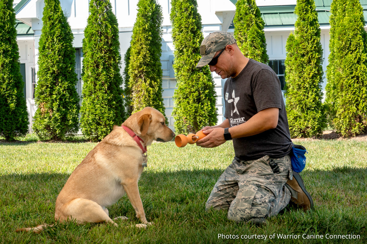 The Healing Power of Dogs: Warrior Canine Connection and the Veterans ...